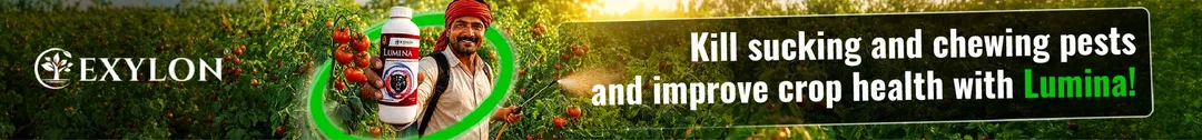 Buy Bayer Jump Insecticide (Fipronil 80 WG) | IPM Friendly Pest Control ...