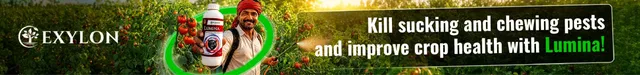 Buy Bayer Jump Insecticide (Fipronil 80 WG) | IPM Friendly Pest Control ...