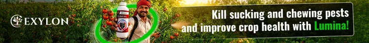 Buy Bayer Jump Insecticide (Fipronil 80 WG) | IPM Friendly Pest Control ...